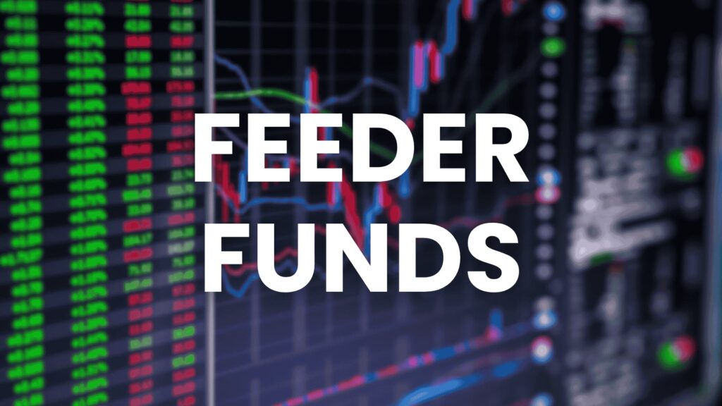 Feeder Funds: O Que São e Como Funcionam?